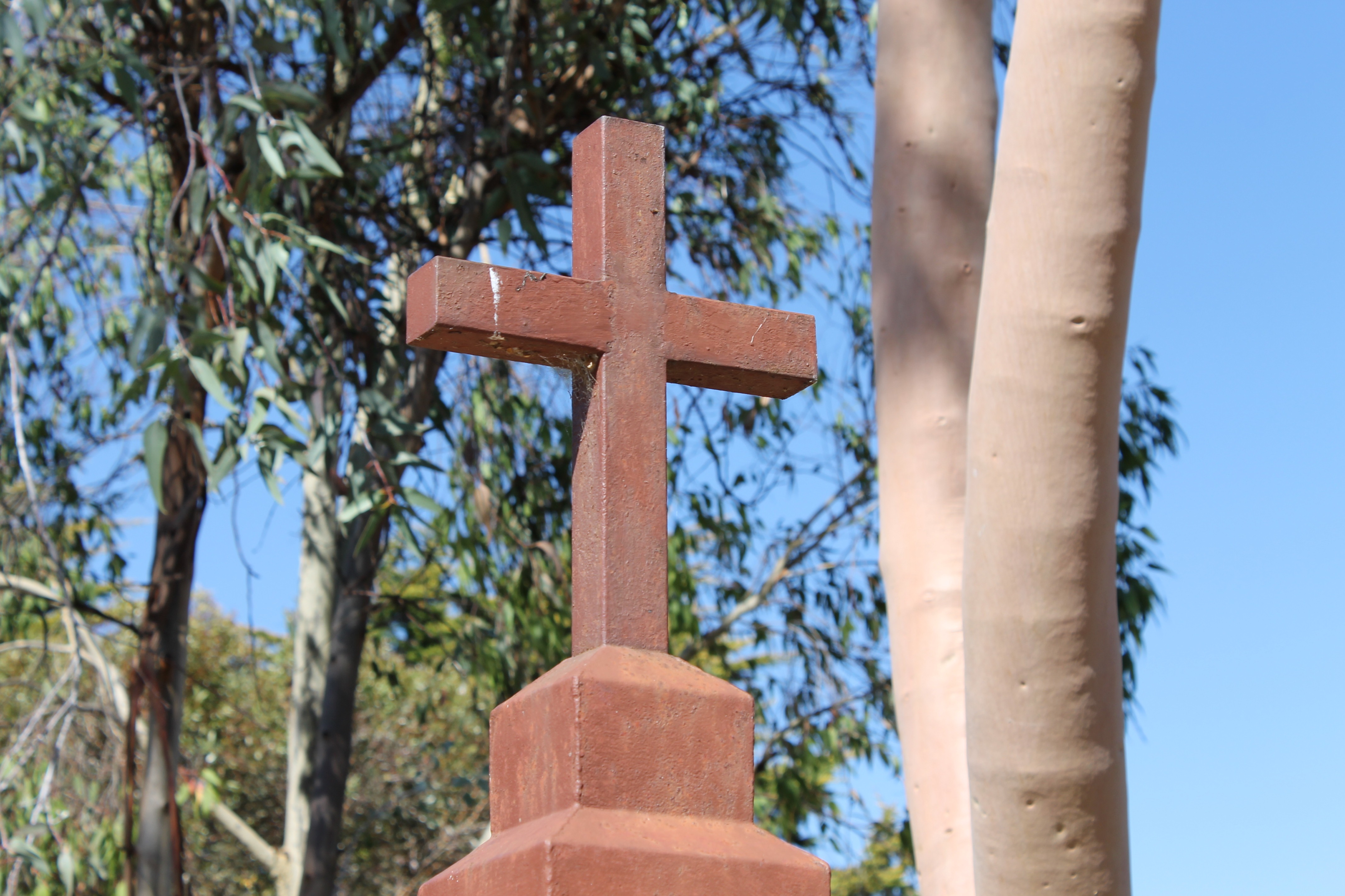 Gumtrees at red stone cross, australia free image download