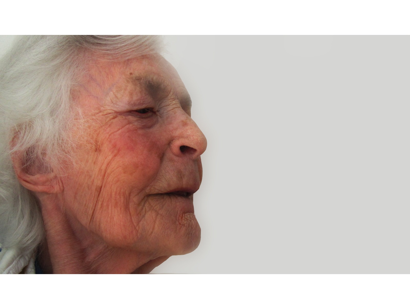 Old wrinkled grey haired woman looking aside, portrait free image download