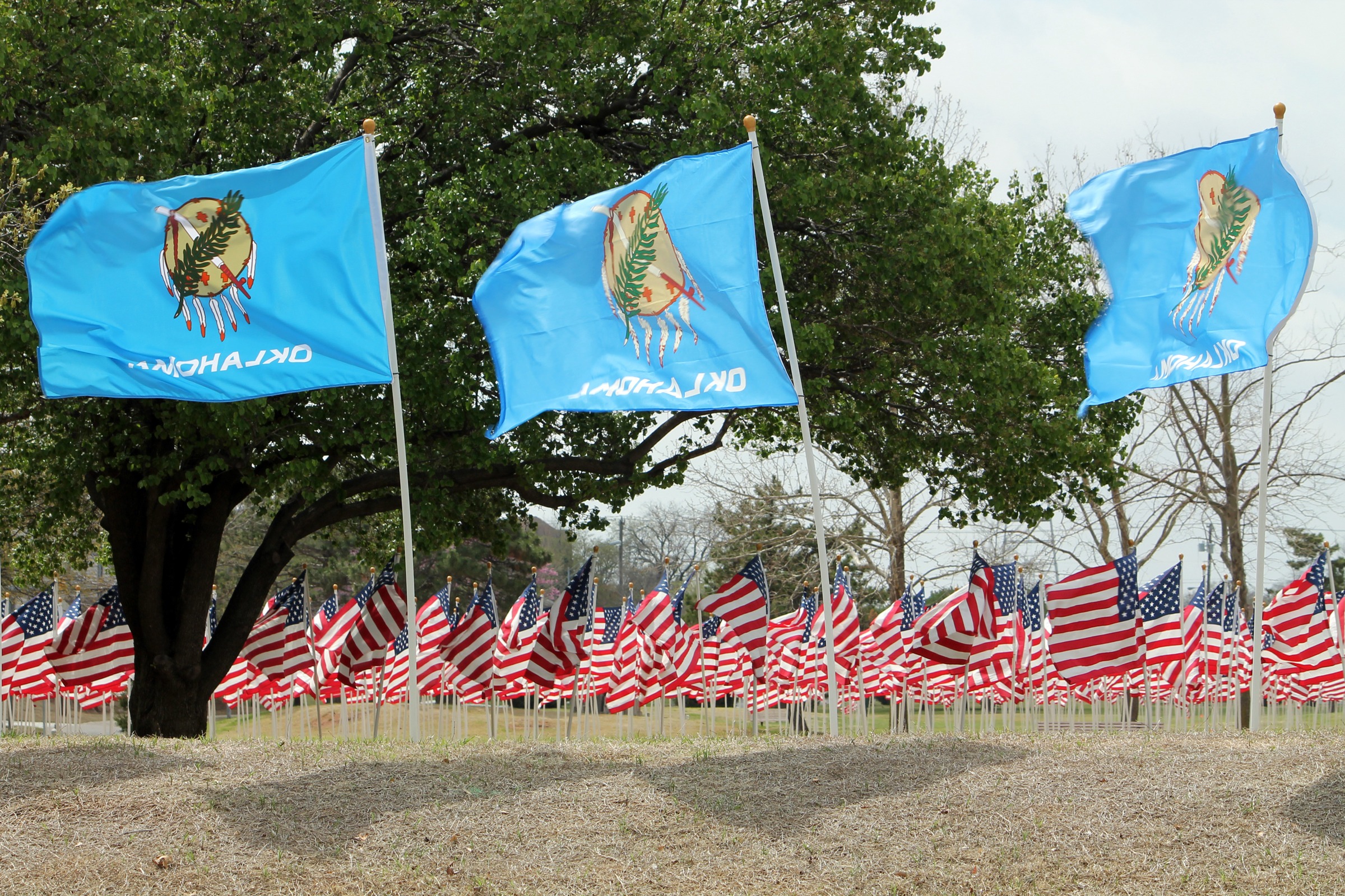 Lot of flags in park, usa, oklahoma, oklahoma city free image download