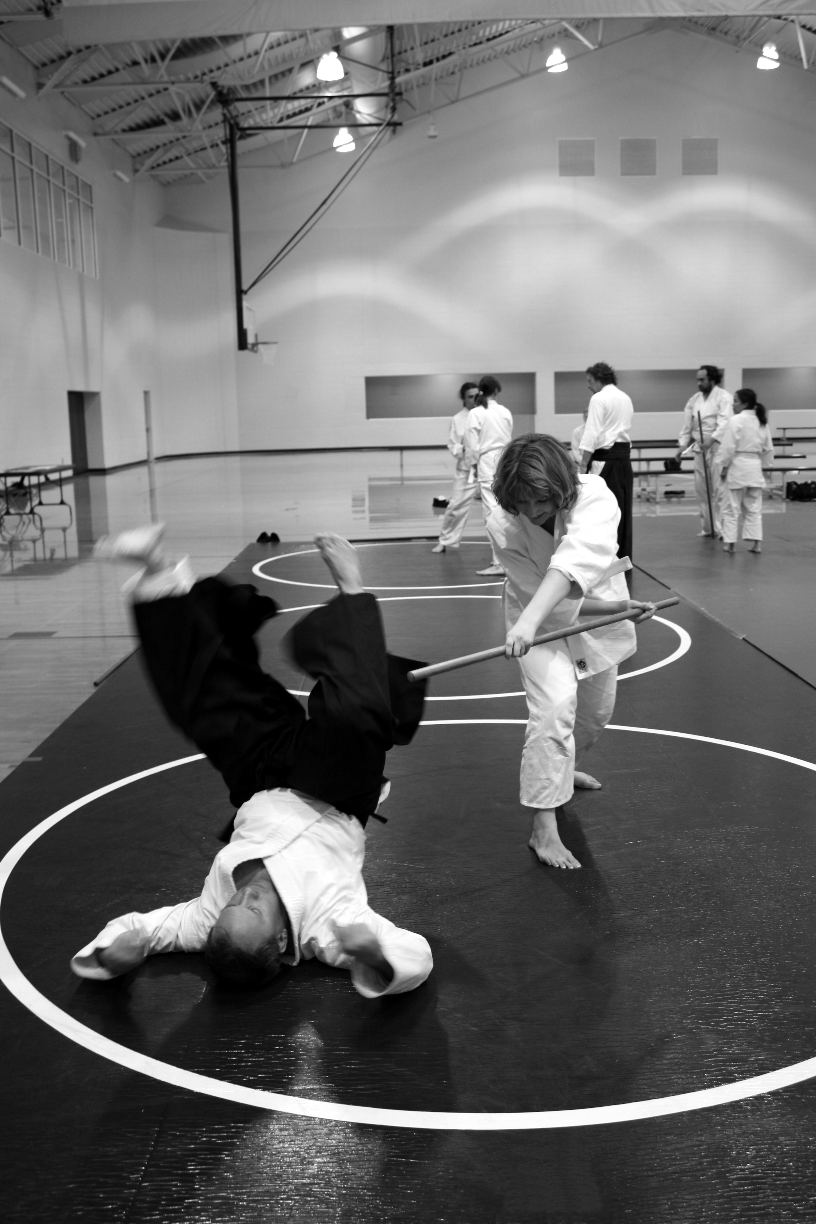 Aikido exercises in black and white free image download