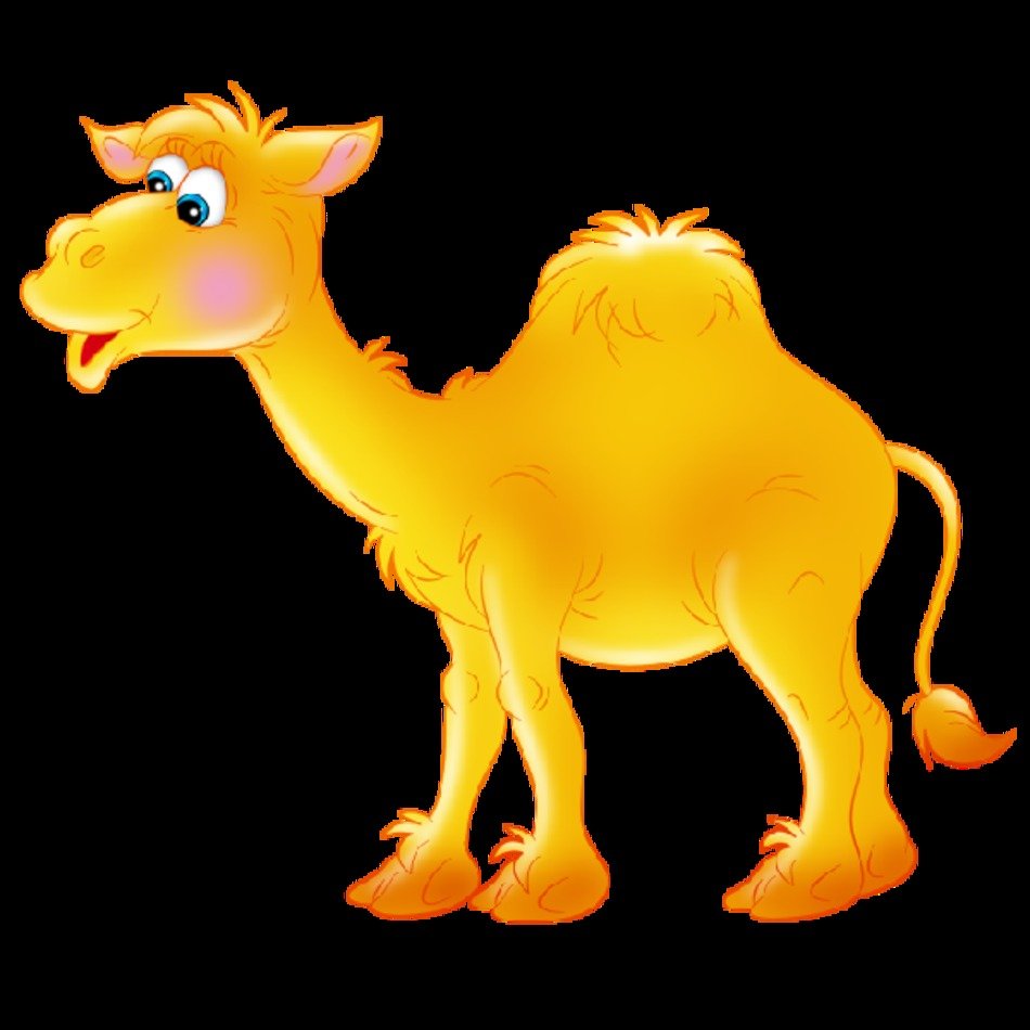 Cartoon Camel Clip Art N31 free image download
