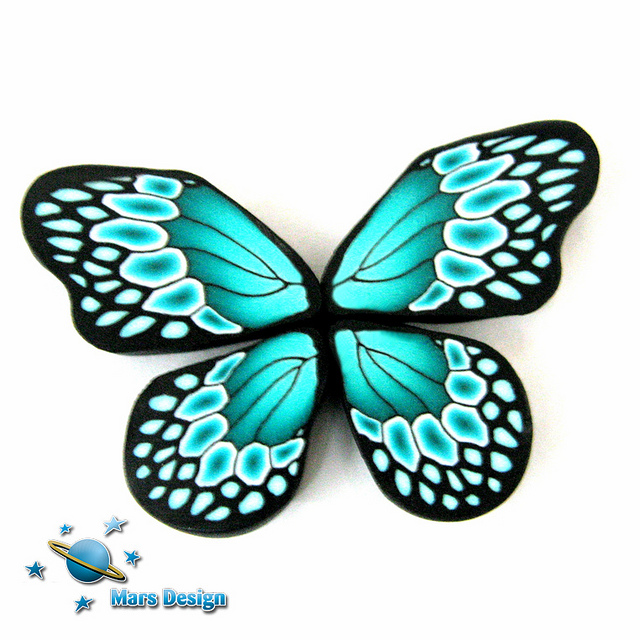 Turquoise Butterfly N2 free image download
