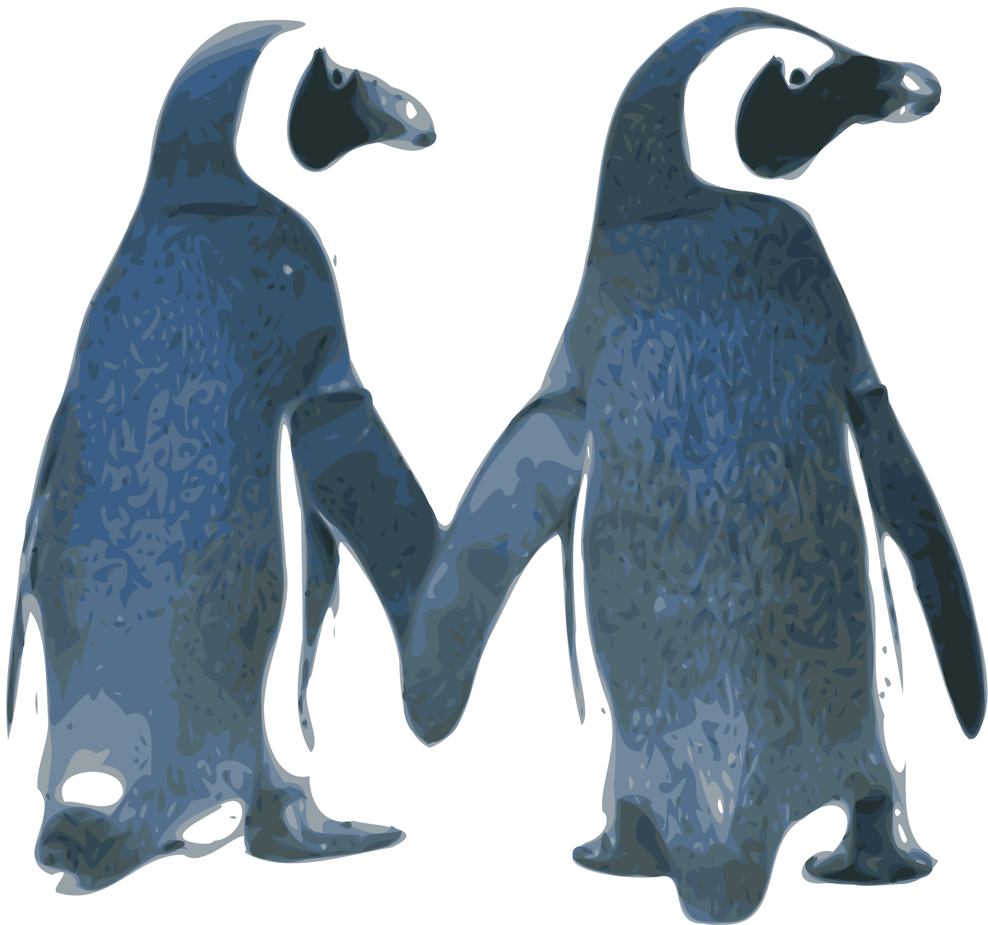 Drawn two penguins free image download