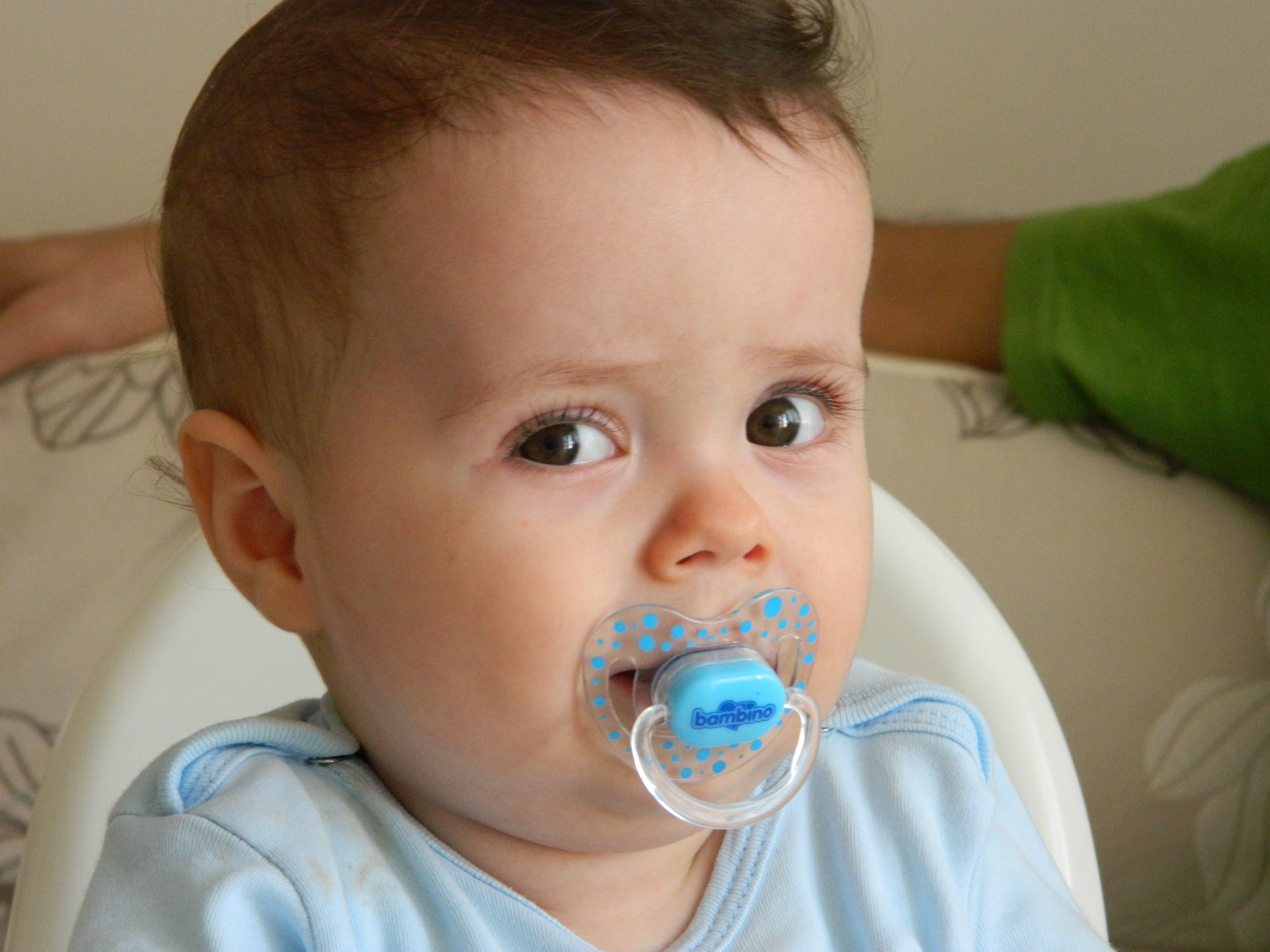 Puppies bebe free image download