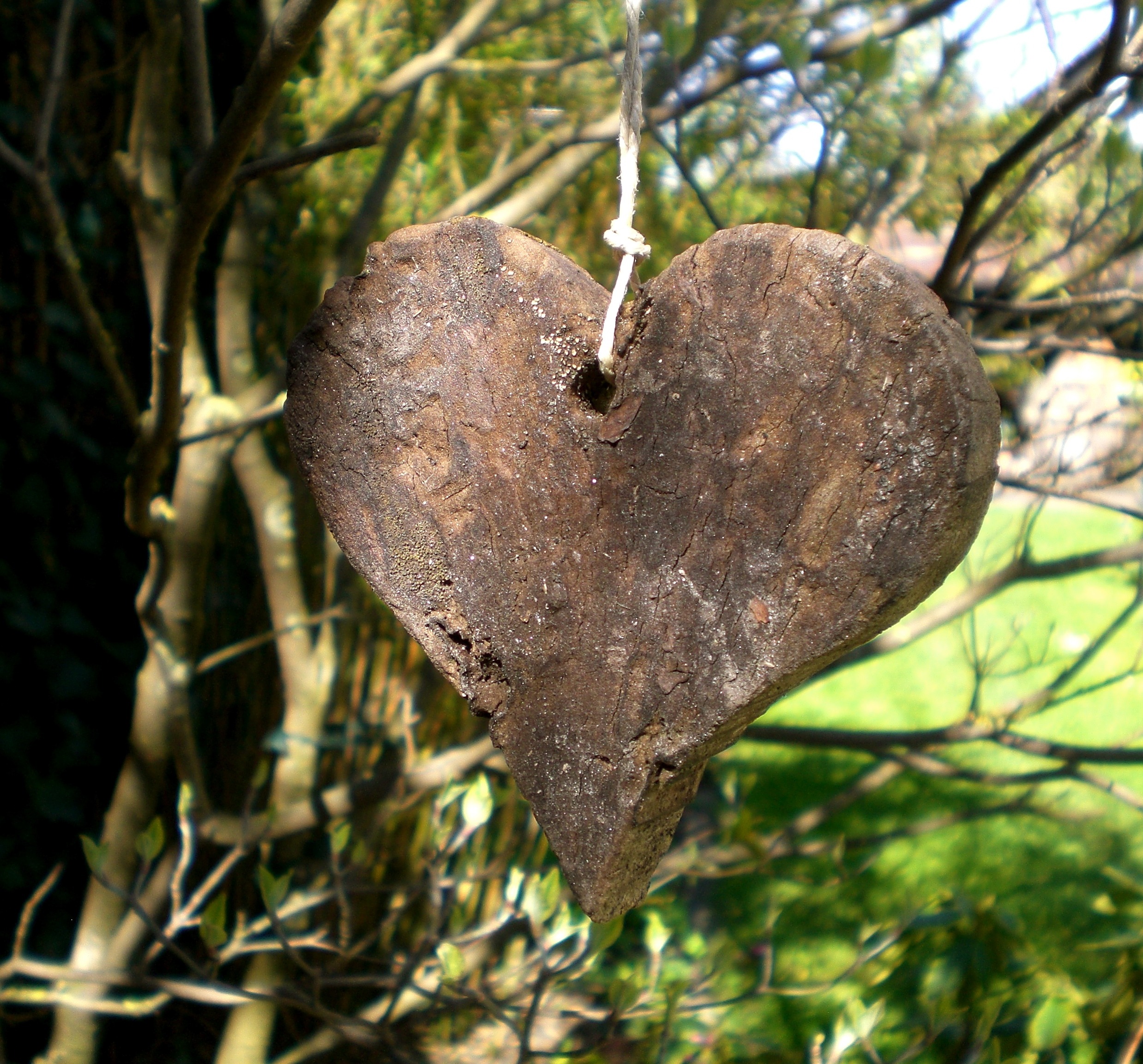 Rusty metal heart is tied to a tree free image download