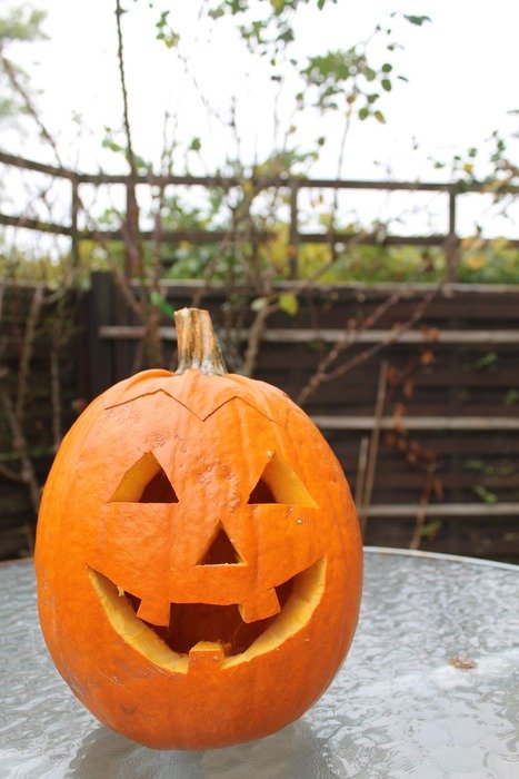 Strikingly beautiful pumpkin face free image download
