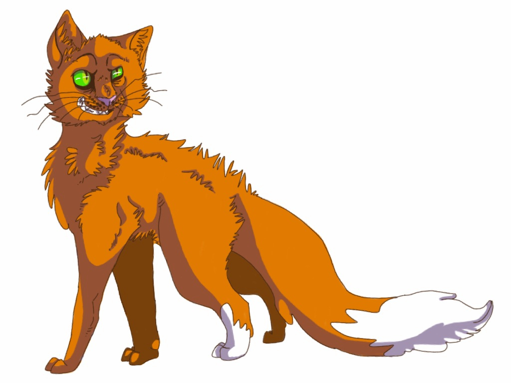 Angry ugly fox, drawing free image download