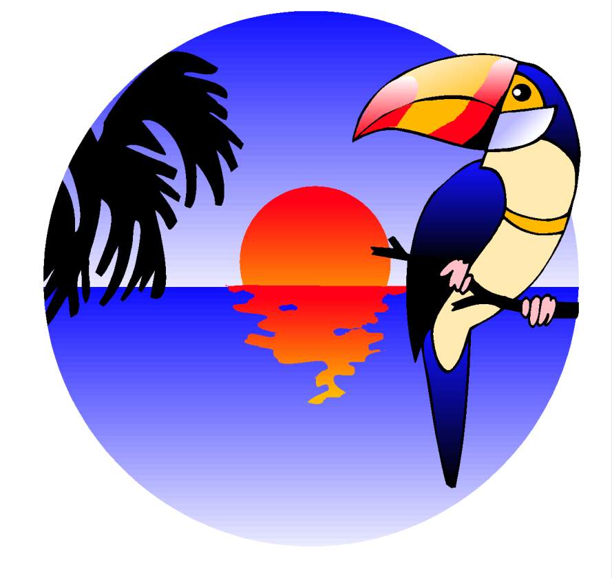 Drawn toucan on a branch against the backdrop of a tropical sunset free ...