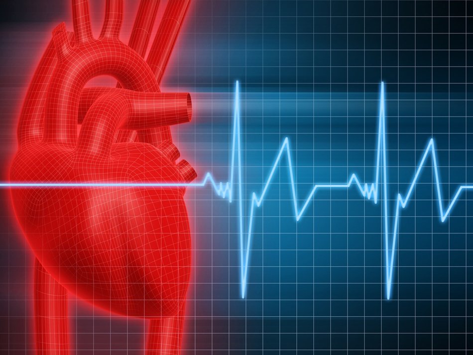 Heart Rate as a picture for a clipart free image download