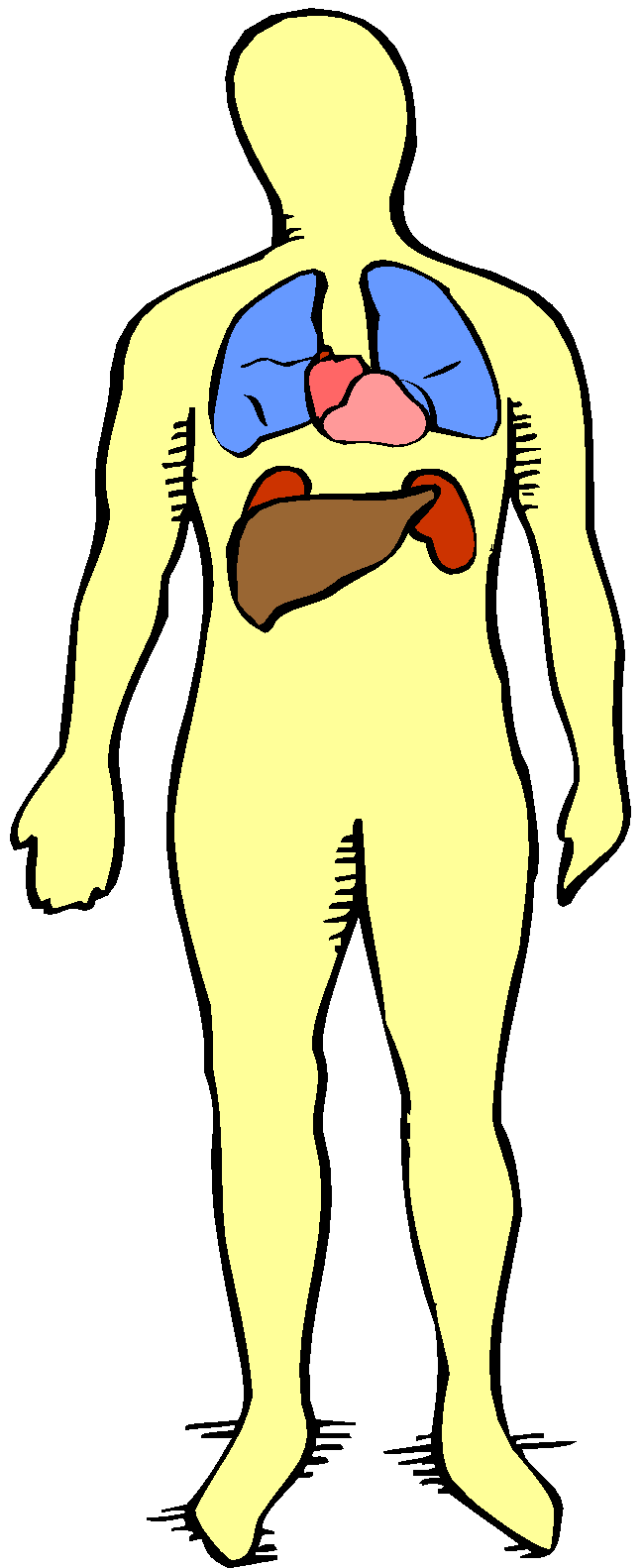 Medical man drawing free image download