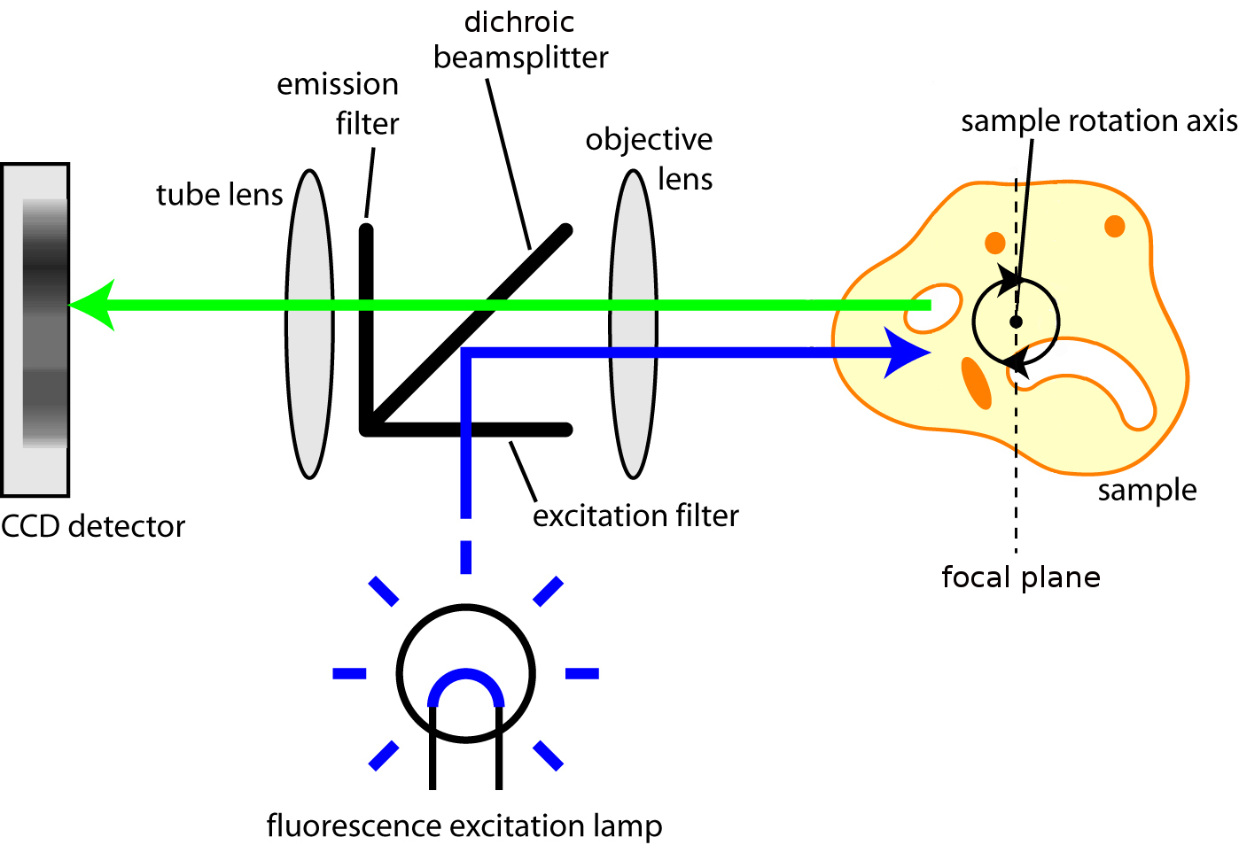 Microscope structure in colorful pictures free image download