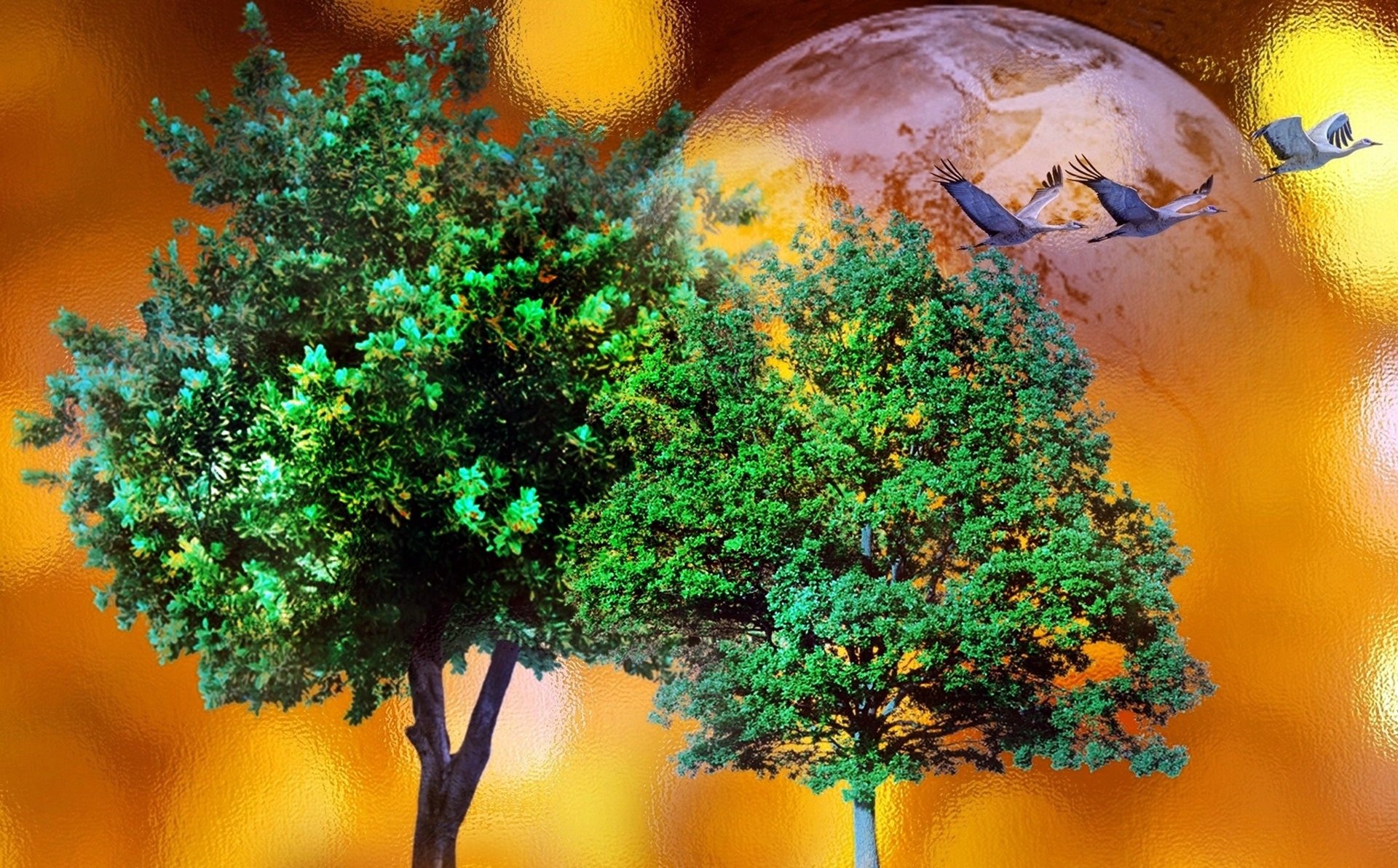 Tree, birds, and sky drawing free image download