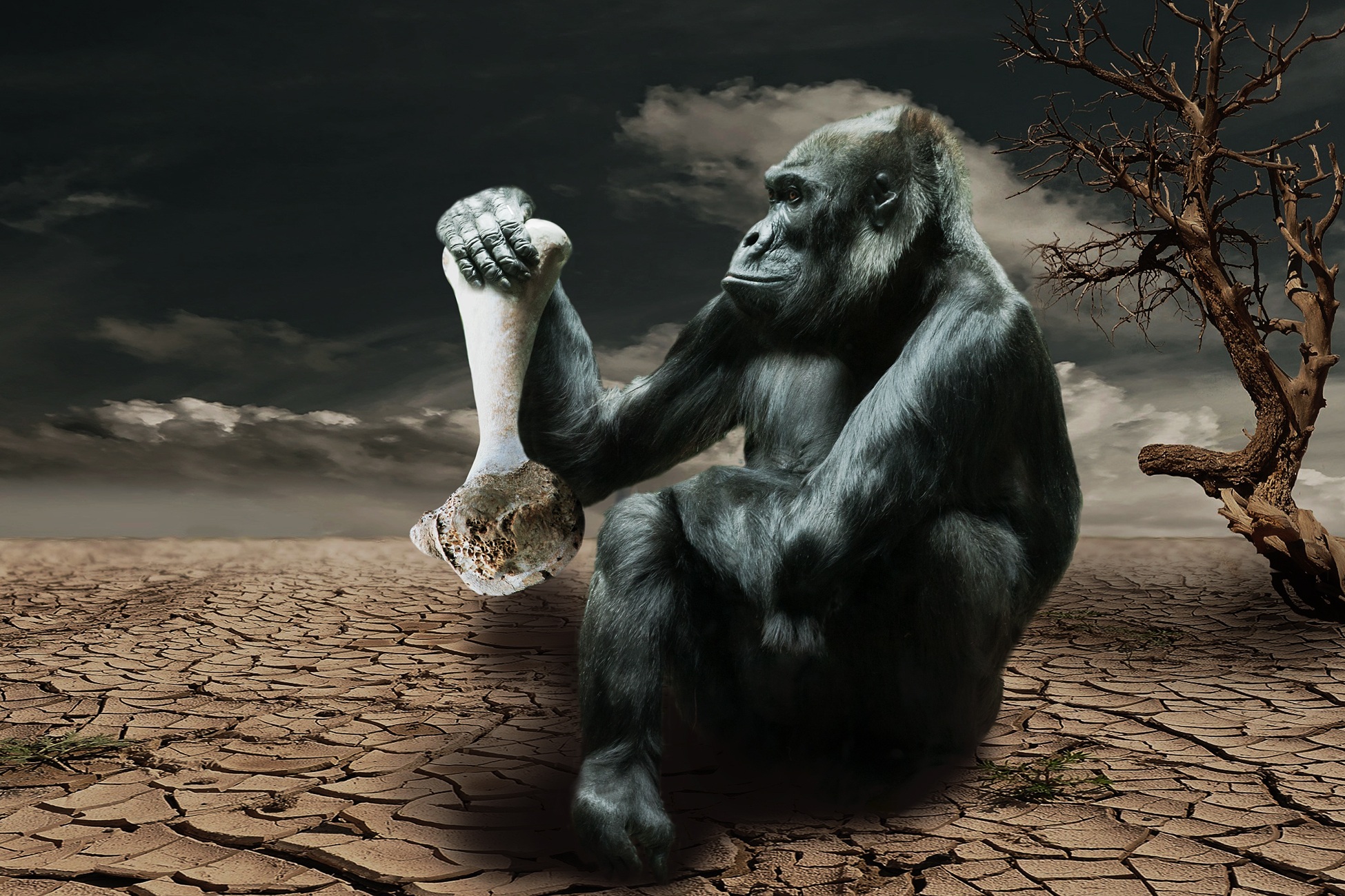 Gorilla hunger drawing free image download