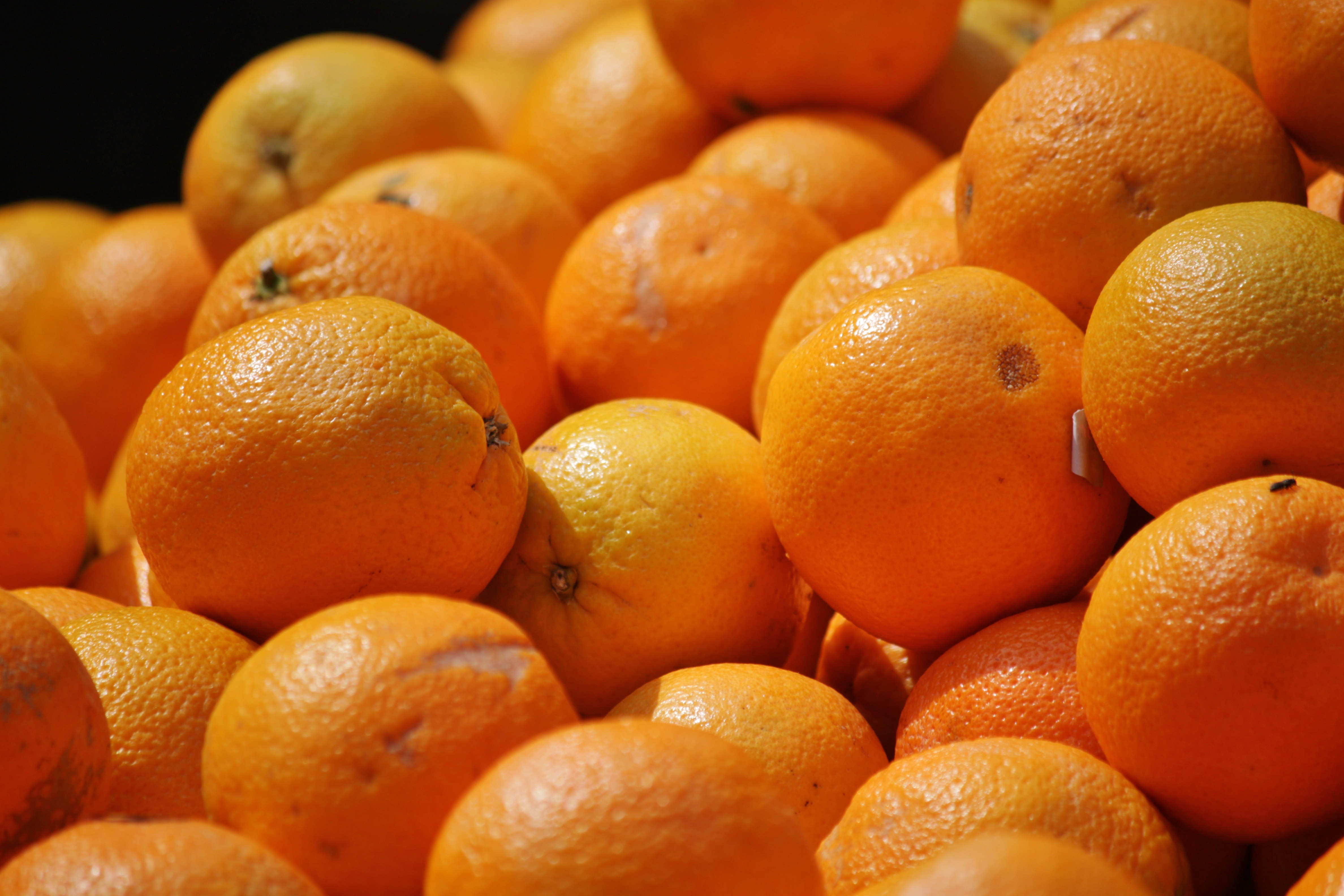 Oranges on the counter free image download