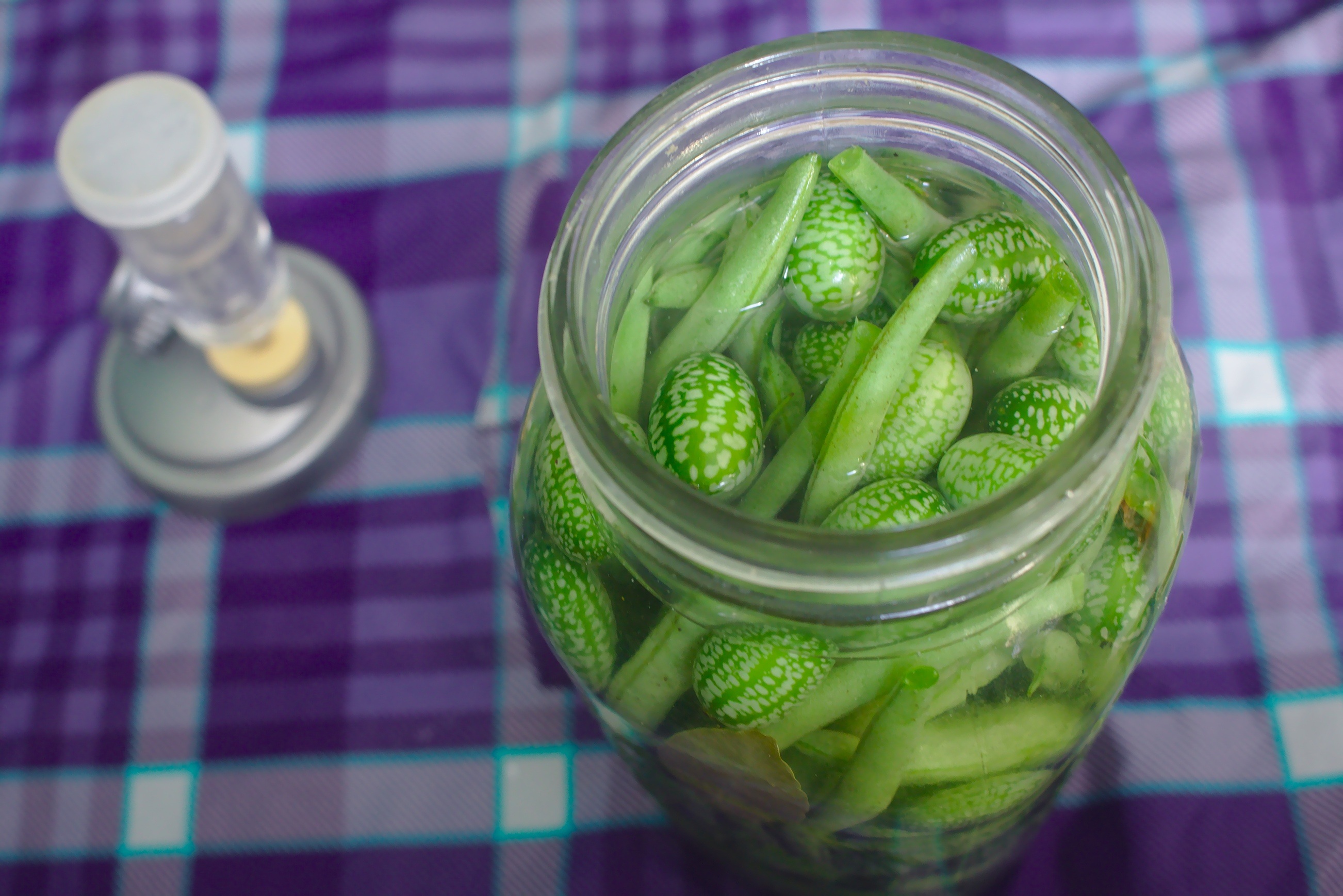 Mexican sour gherkin fruits in jar, homemade pickles free image download