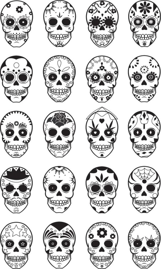 Different types of skulls free image download
