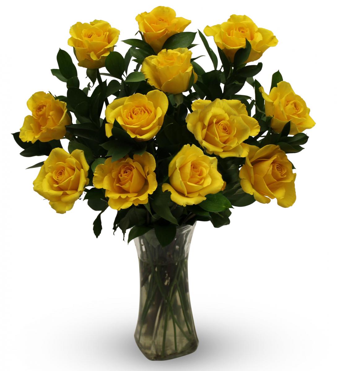 One Dozen Yellow Roses drawing free image download