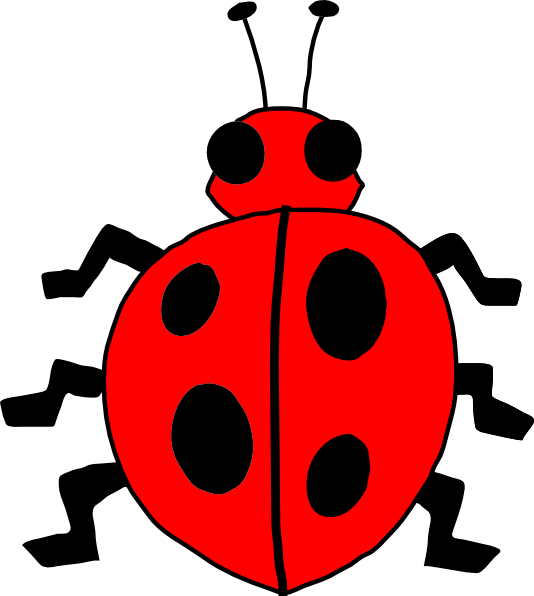 Lady Bug Clip Art N33 free image download