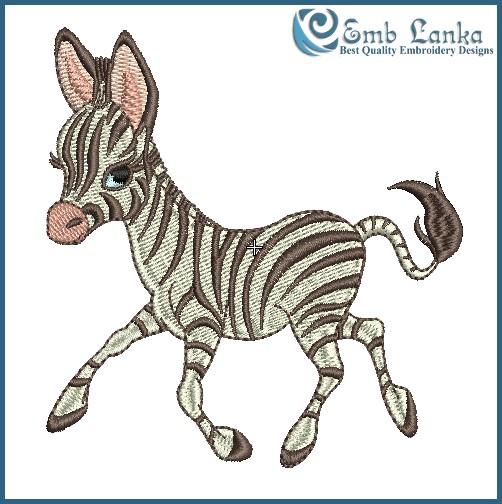 Cute Baby Zebra free image download