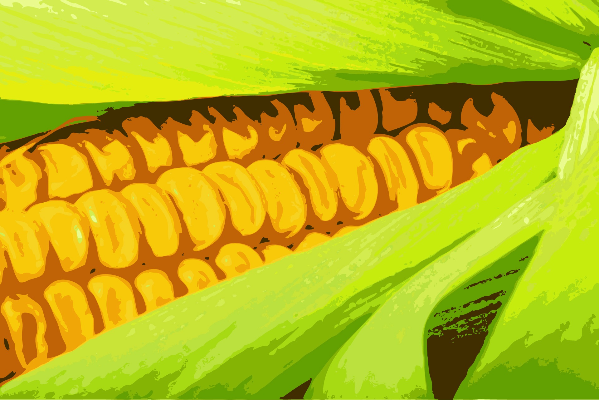 Sweetcorn art drawing free image download