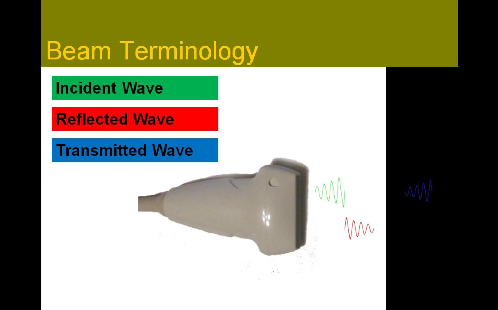 Sonographic Principles And Instrumentation free image download