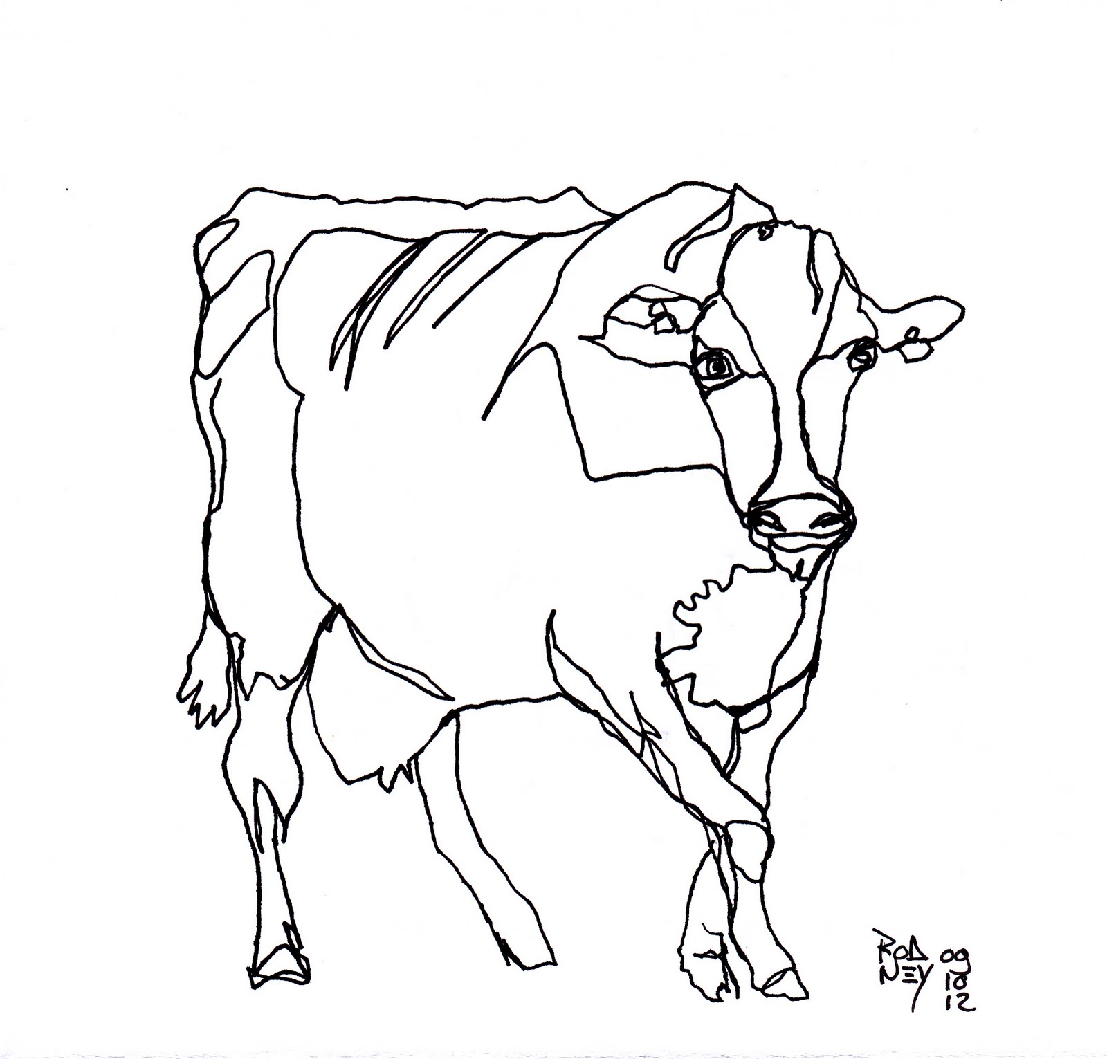Cow Line Drawing free image download