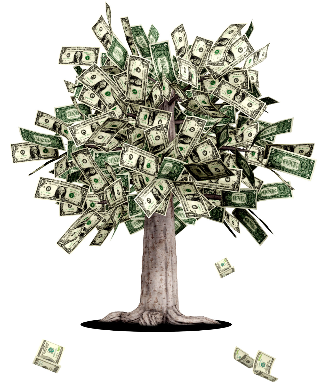 pictures-of-money-tree-clip-art-transparent-money-tree-clipart-peach