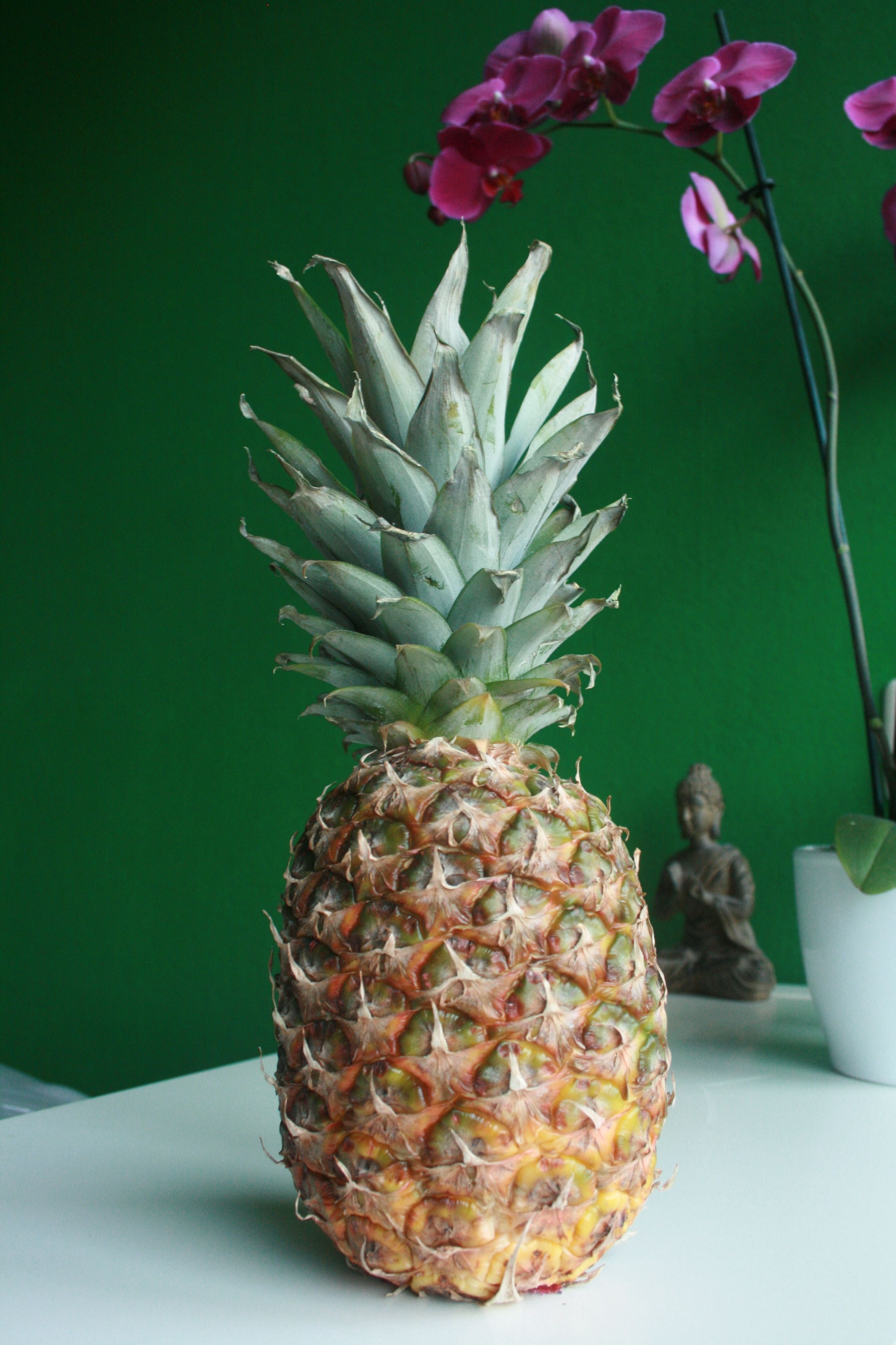 Healthy organic pinapple near the flower free image download