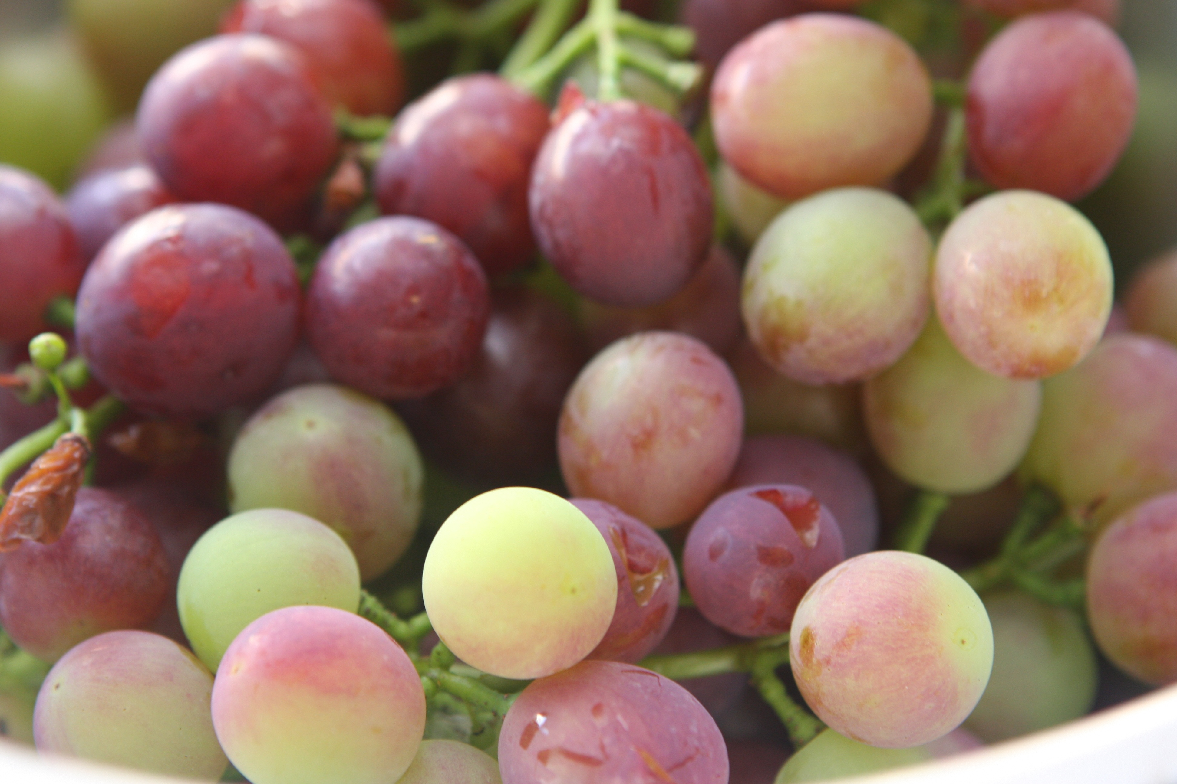 Grapes closeup free image download