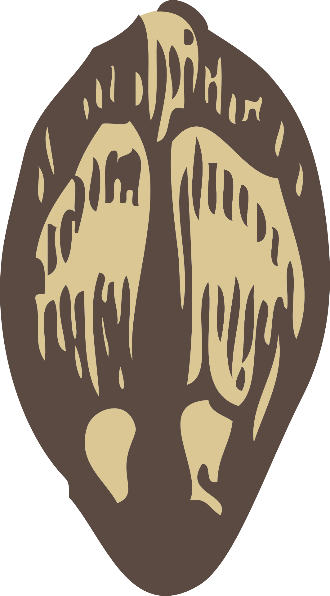 Pine seed drawing free image download