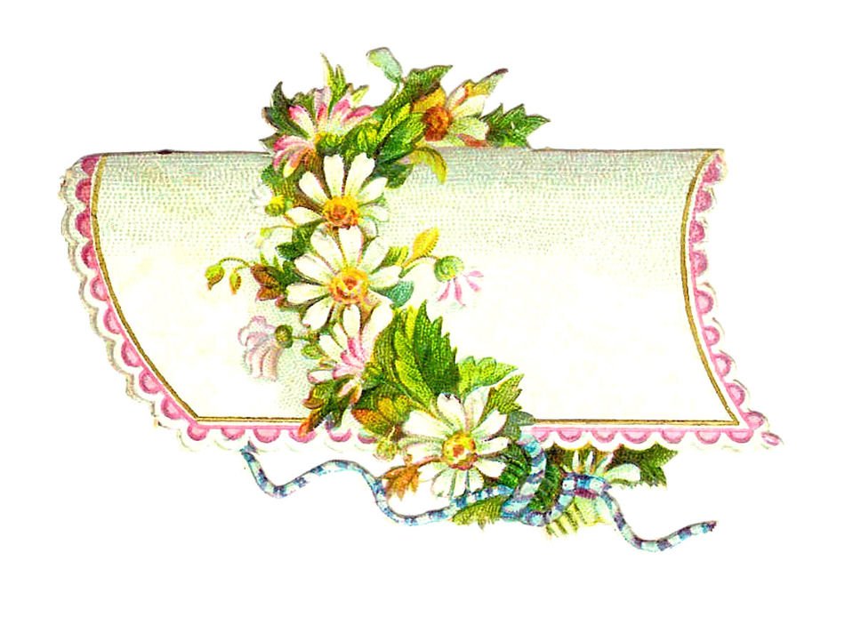 Flower Label drawing free image download