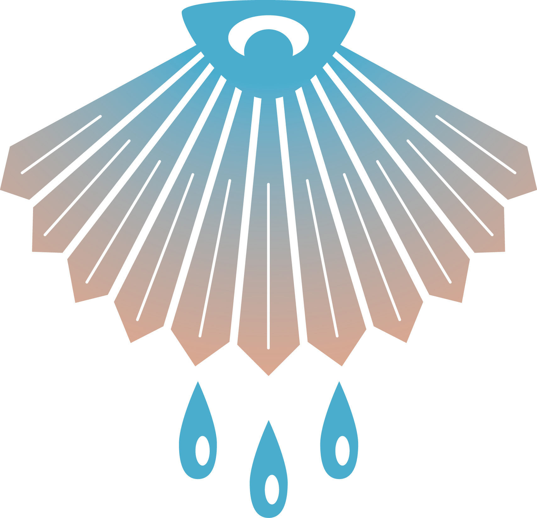 Painted shell and drops of water free image download