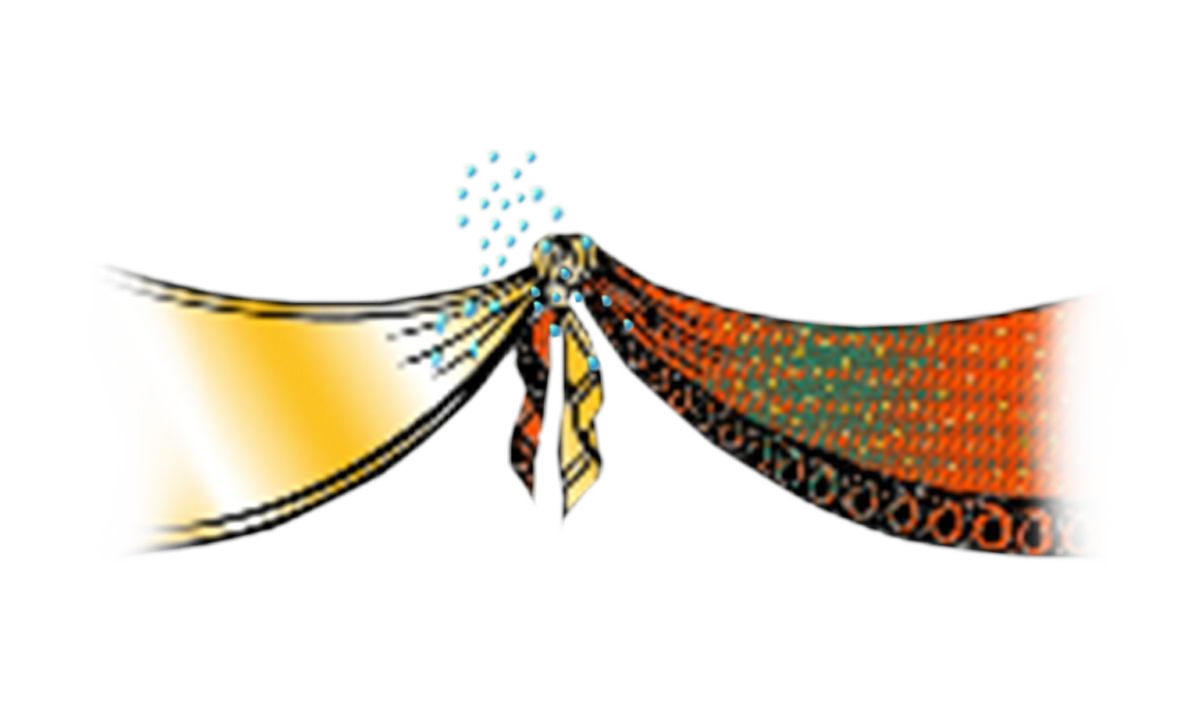 Birthday Corner Background clipart free image download