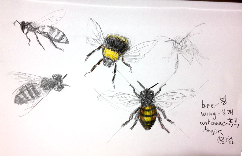 İllustration of Bumble Bee Sketches free image download