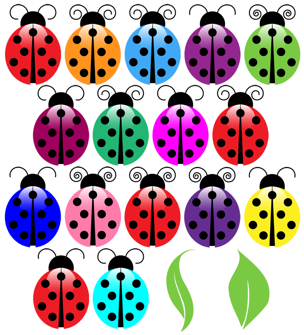 Pink Ladybug Clip Art drawing free image download