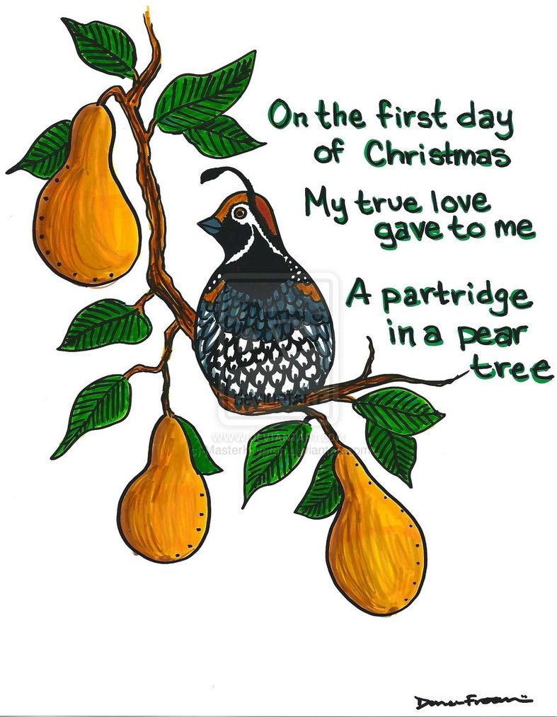 Colorful bird on the pear tree clipart free image download