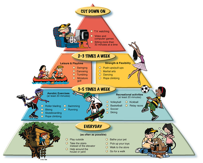 Physical Activity Pyramid free image download