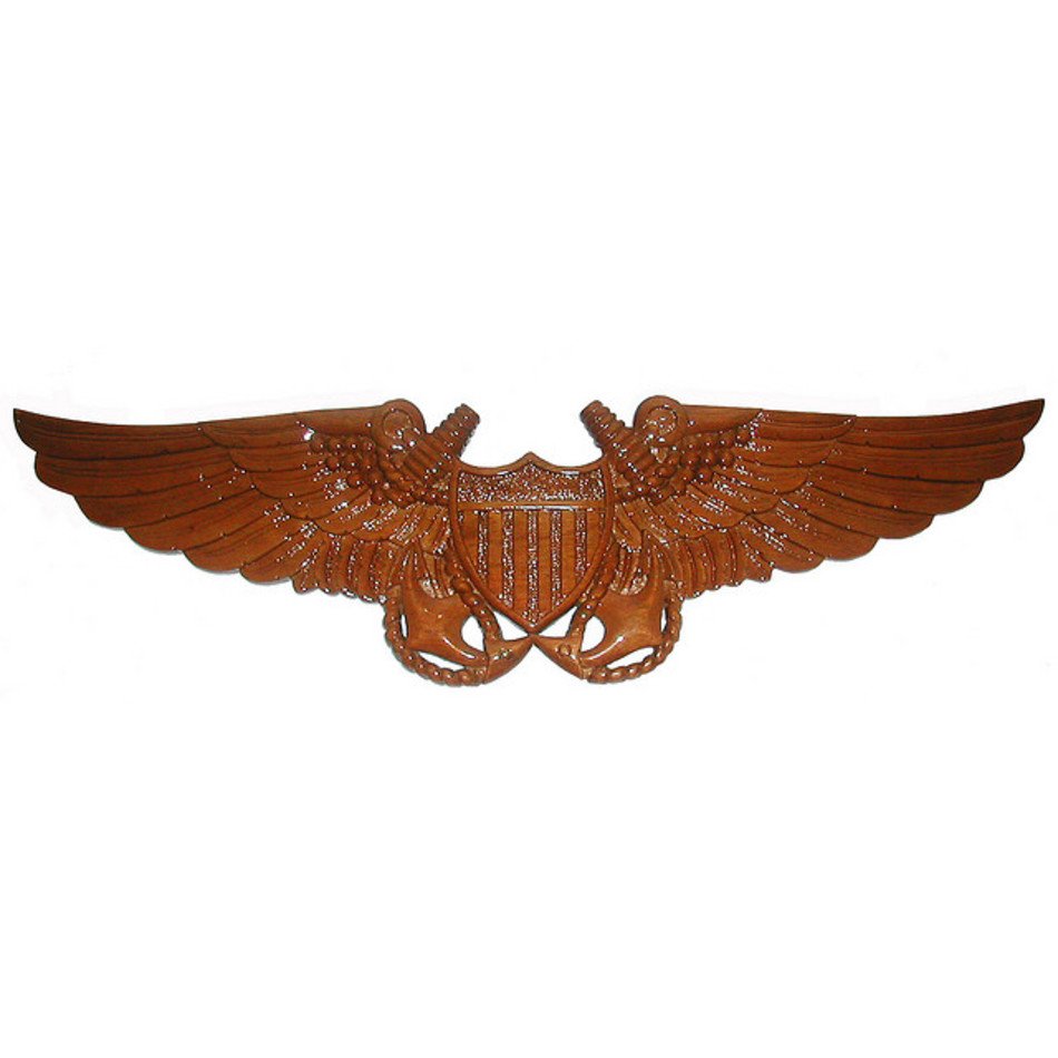 Naval Flight Officer Wings N9 free image download