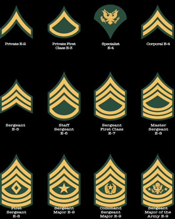 US Army Ranks Drawing Free Image Download