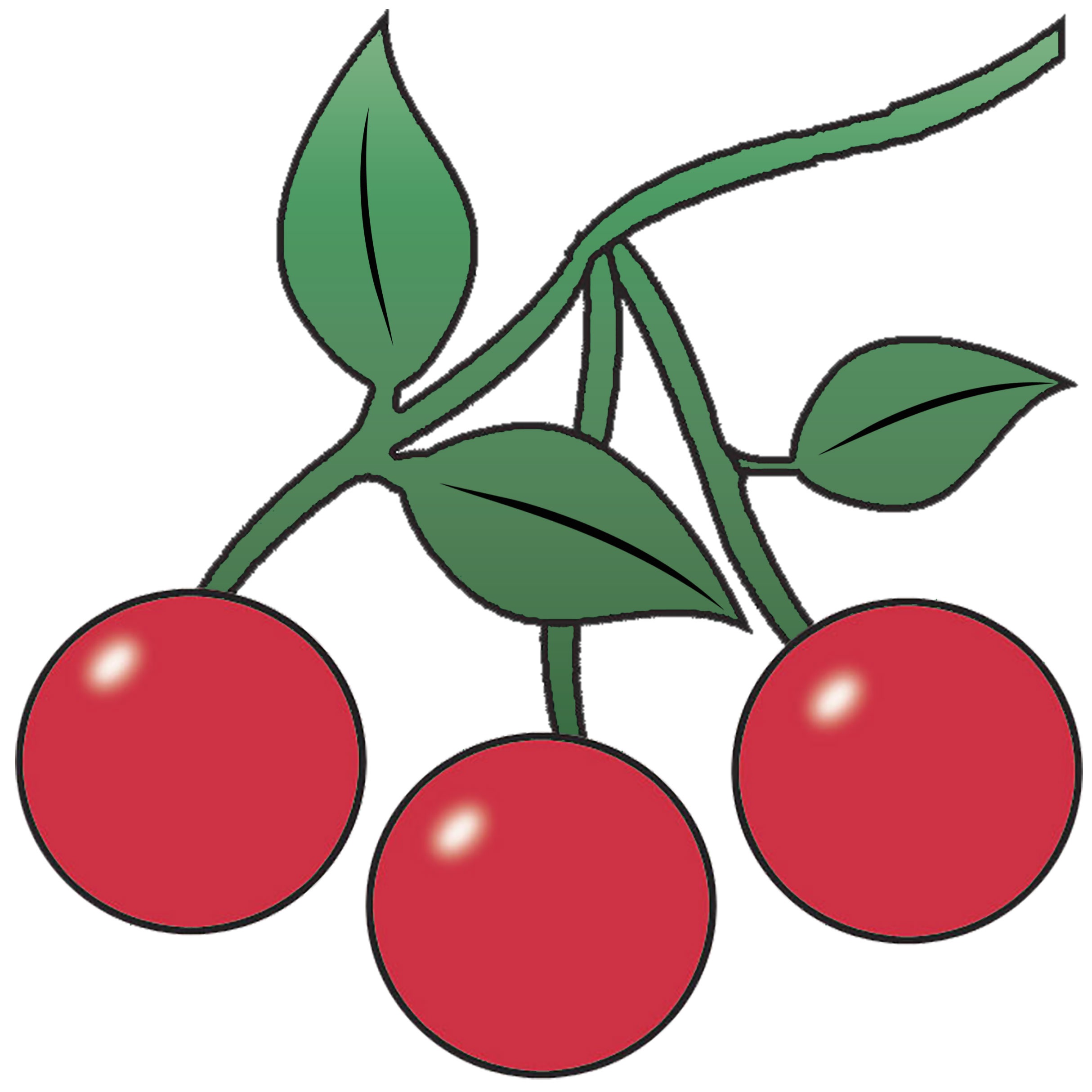 Drawing of cherries free image download