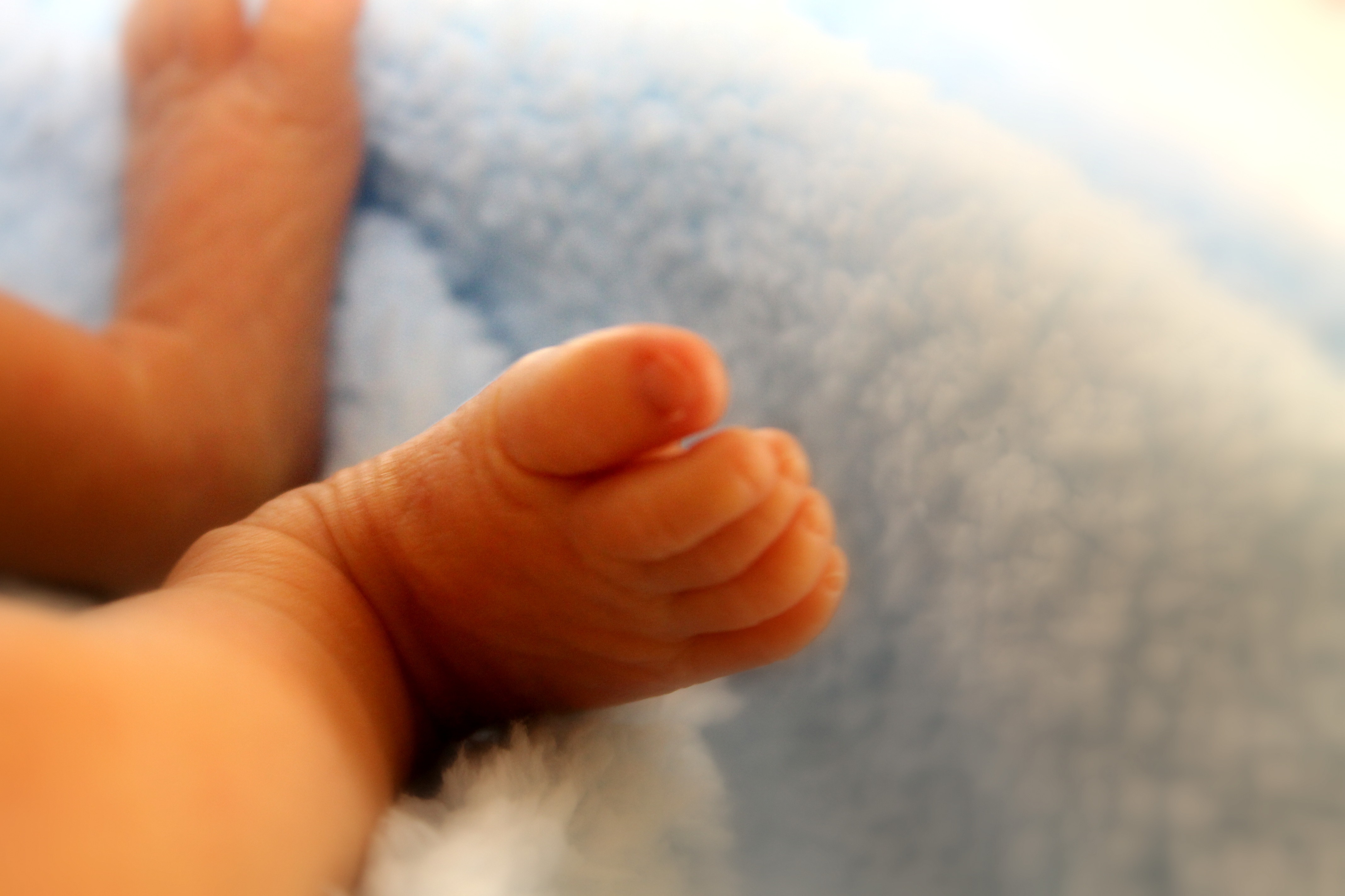Newborn's feet on soft tissue free image download