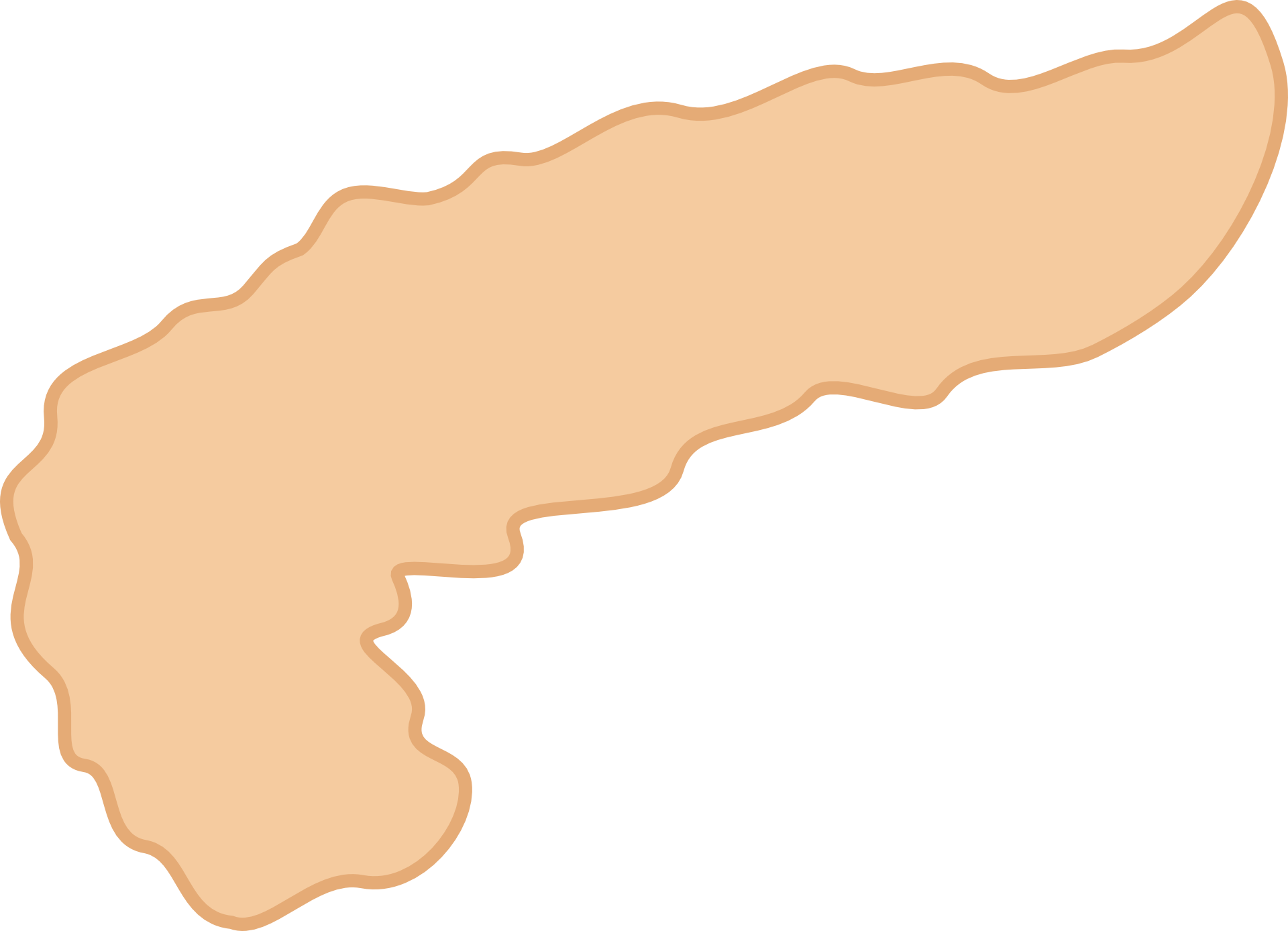 Pancreas medicine organ drawing free image download