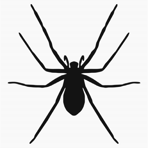 Spider Clip Art N63 free image download