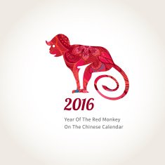Monkey symbol of 2016 on the Chinese calendar N6 free image download