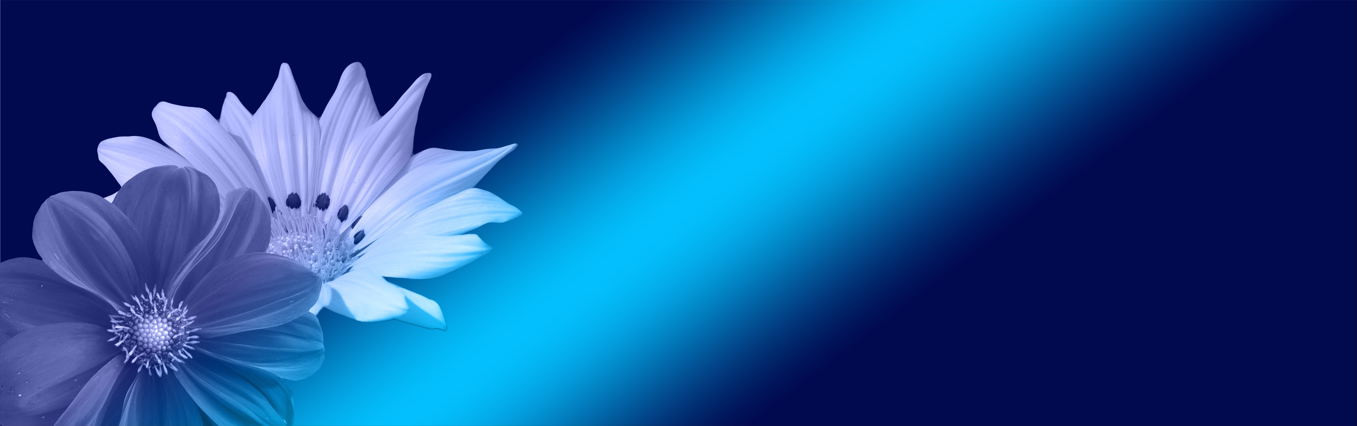 Blue banner with flowers free image download