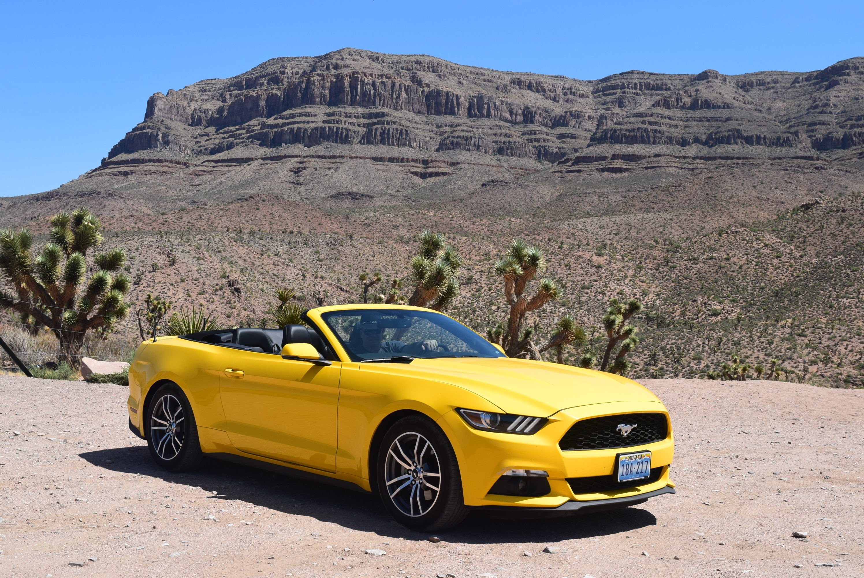 Yellow mustang free image download