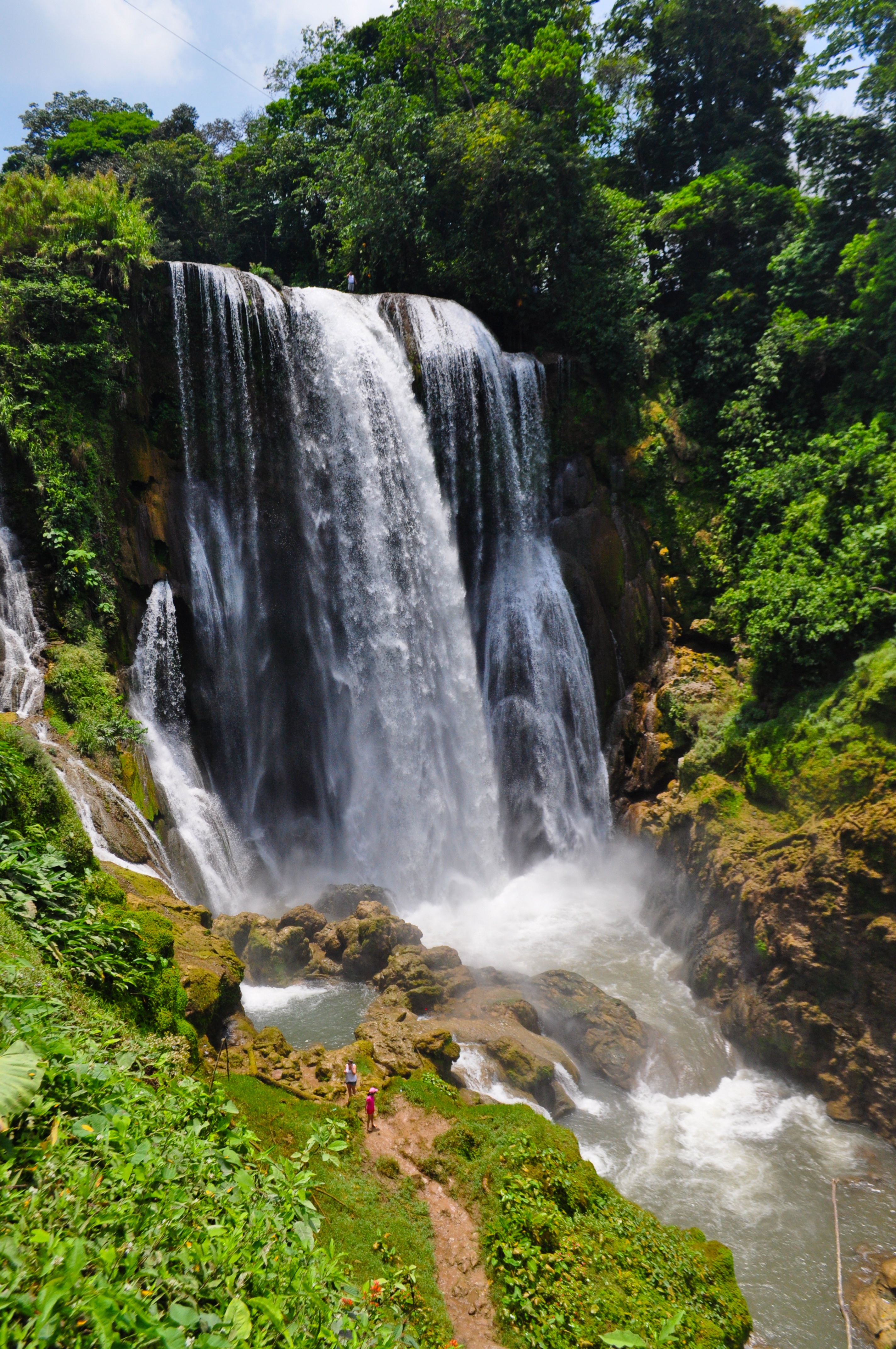 Waterfall amidst a forest in honduras free image download