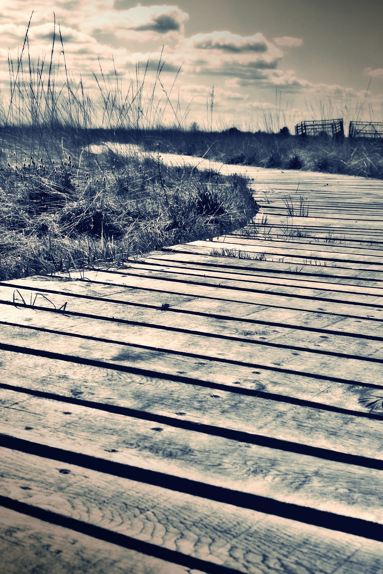 Empty lonely wooden walkway free image download