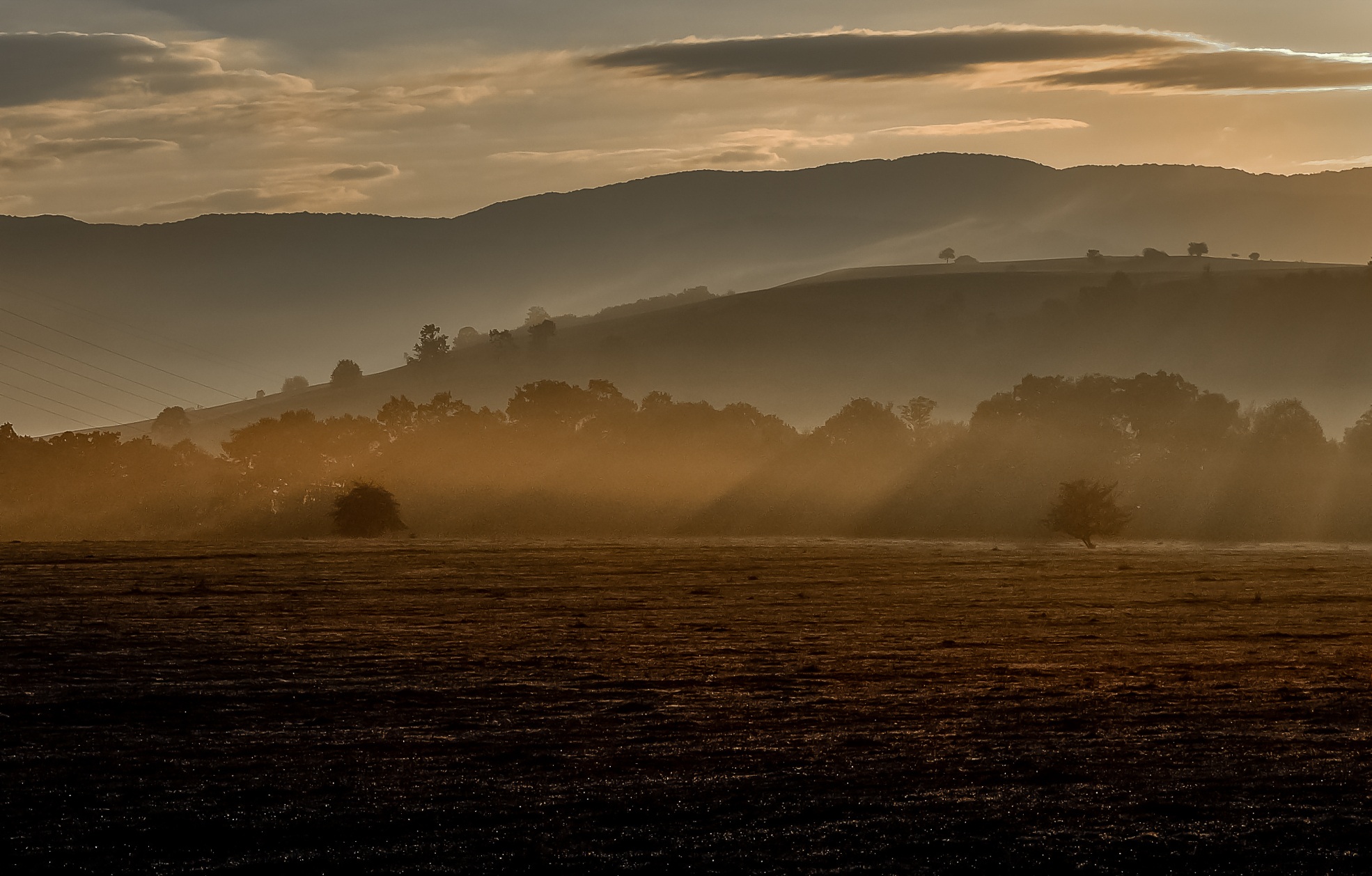 Empty quiet field in the morning sun free image download