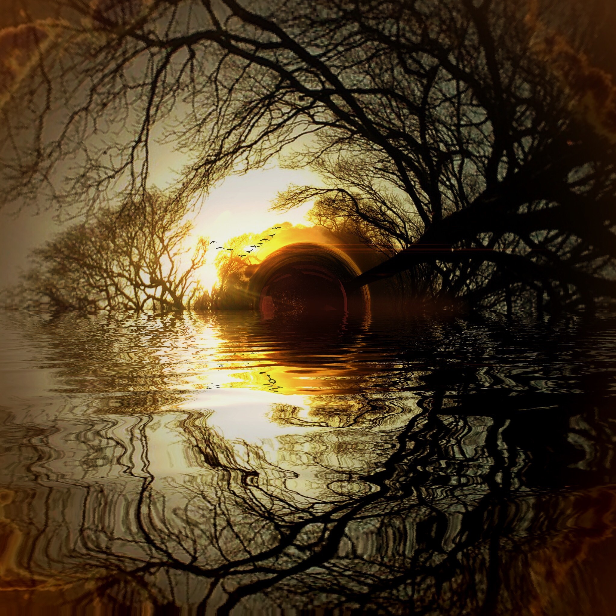 Landscape of water level free image download